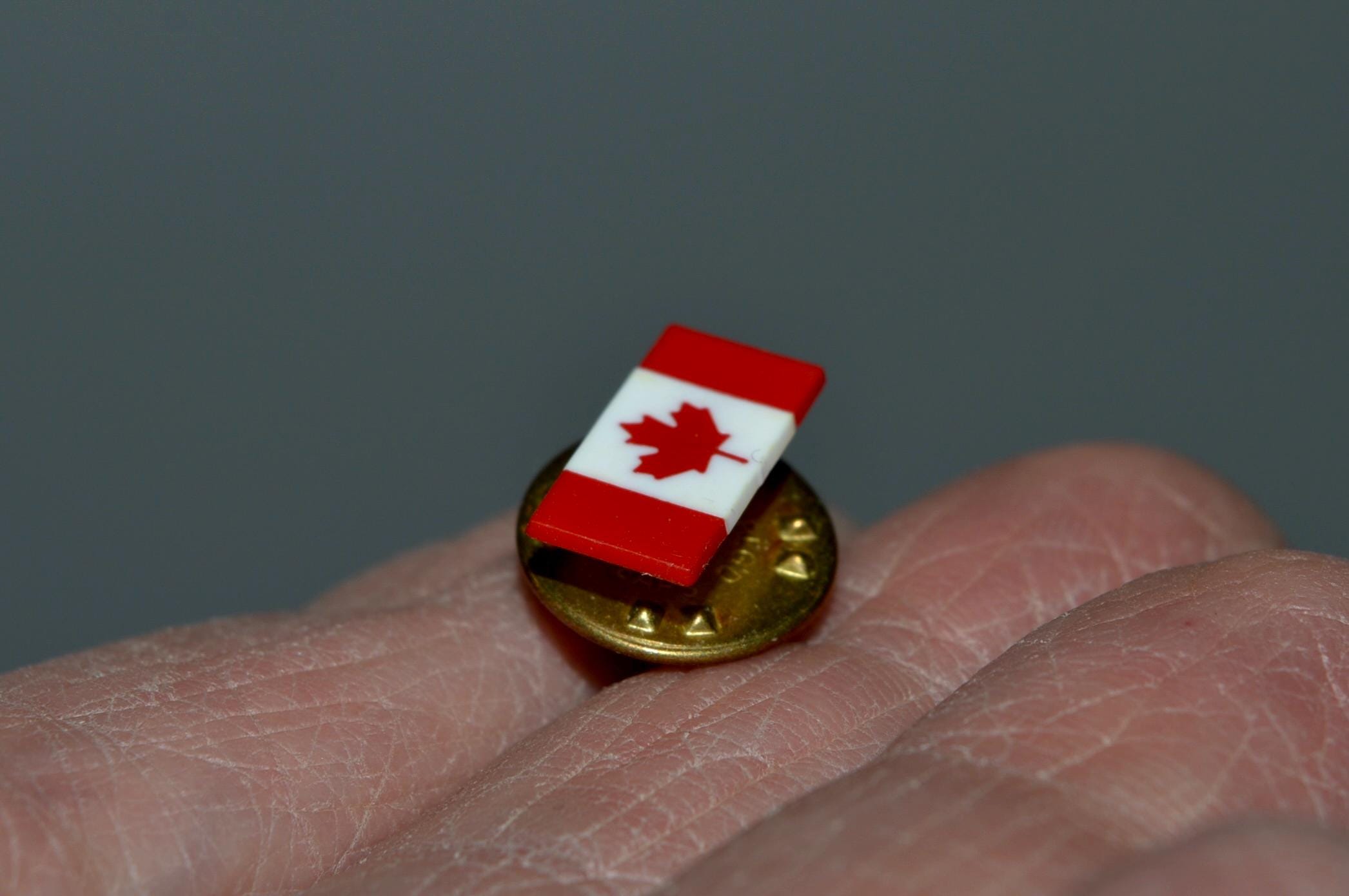 Tiny Canada Flag Pin, Canadian Flag Symbol Pin, Gift for Canadian ...