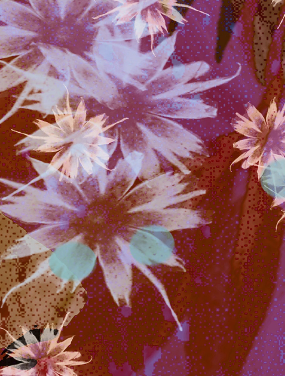 Luna Ray Design A1 Luna Flower Design | Etsy