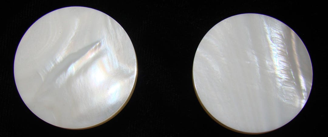 White Fresh Water Shells as a Cabinet Knob - Etsy