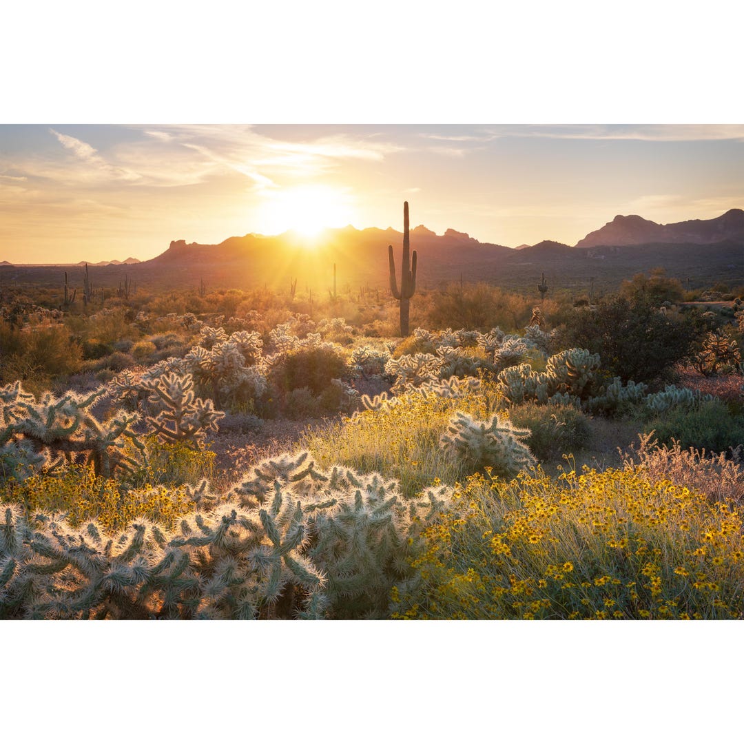 Spring in the Superstition Mountains - Etsy