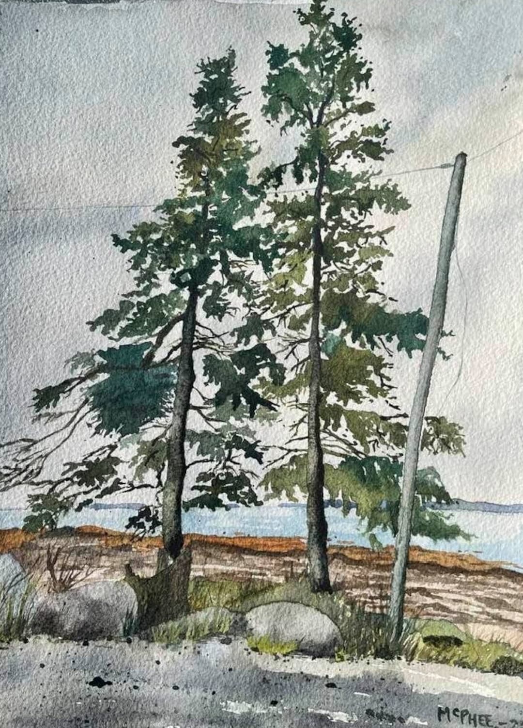 Original Watercolor Painting - "three Trees - Etsy