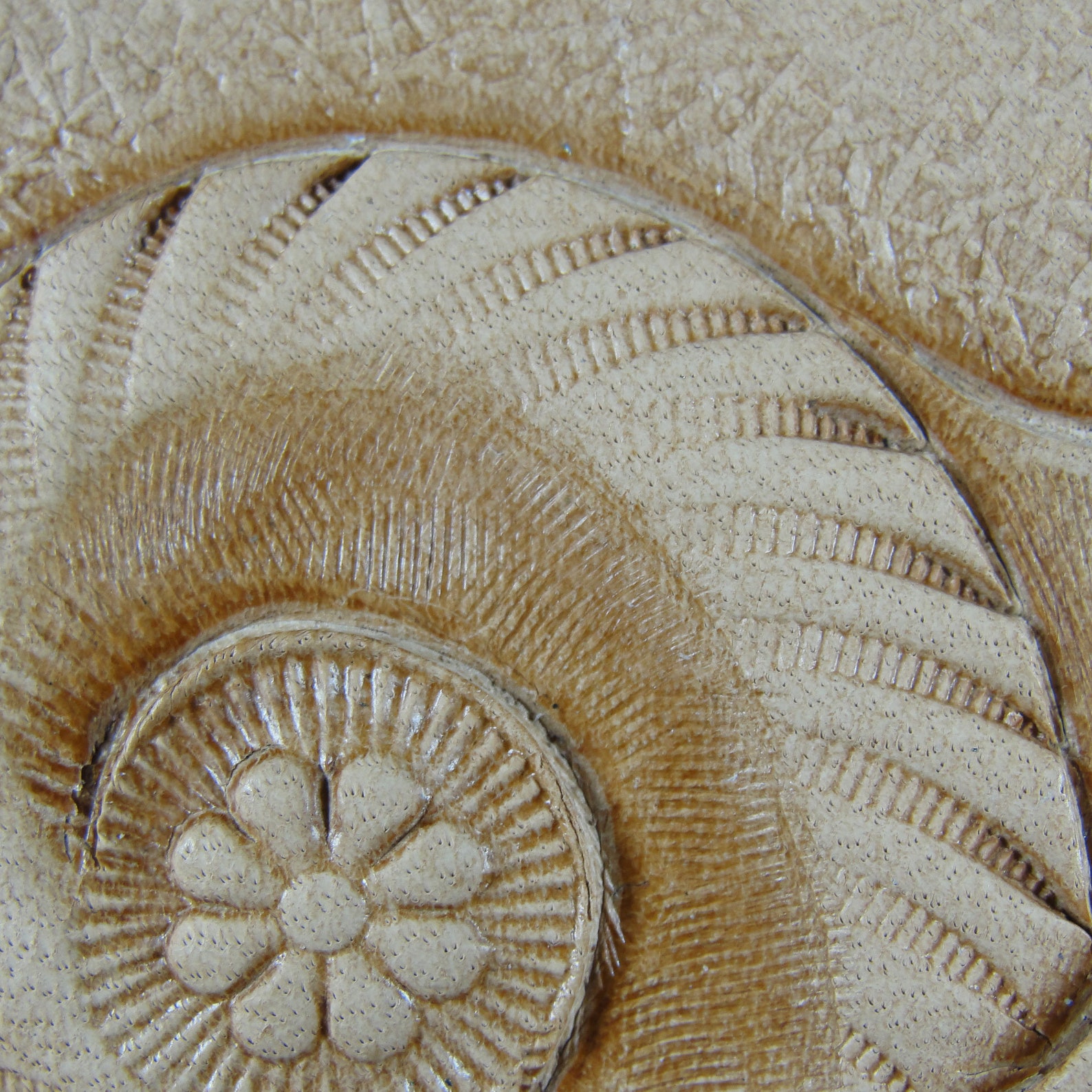 Steel Craft Japan Shell Veiner Stamp Set 3 Leather Stamping - Etsy