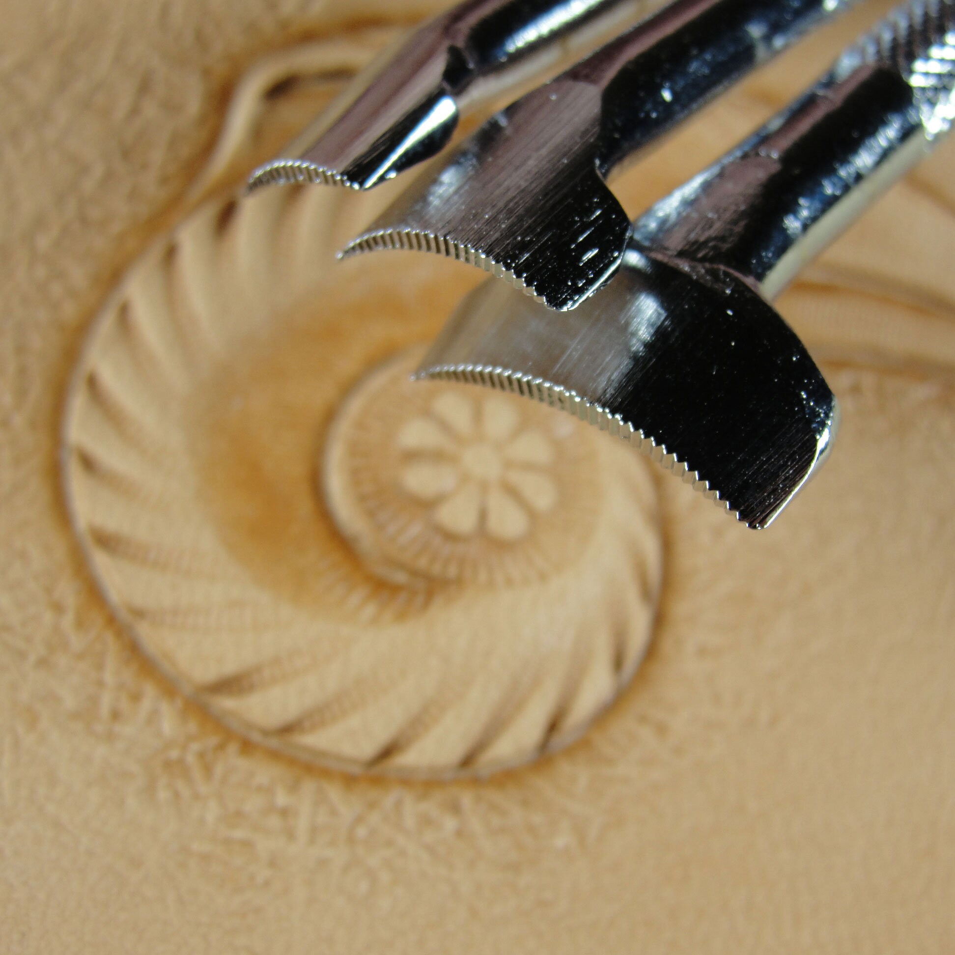 Steel Craft Japan Shell Veiner Stamp Set 3 Leather Stamping - Etsy