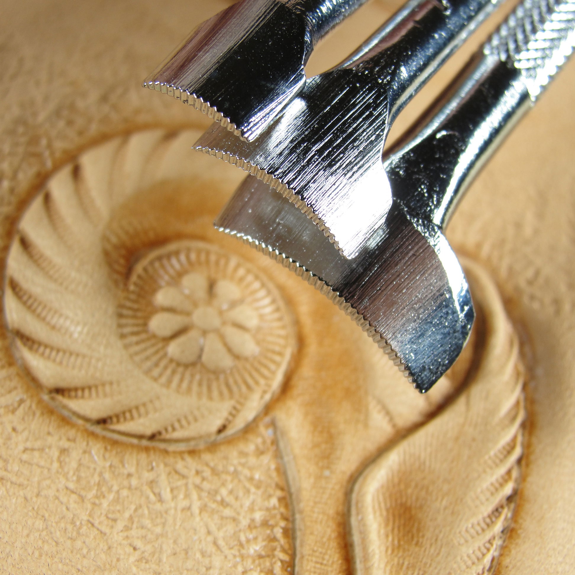 Steel Craft Japan Shell Veiner Stamp Set 3 Leather Stamping - Etsy