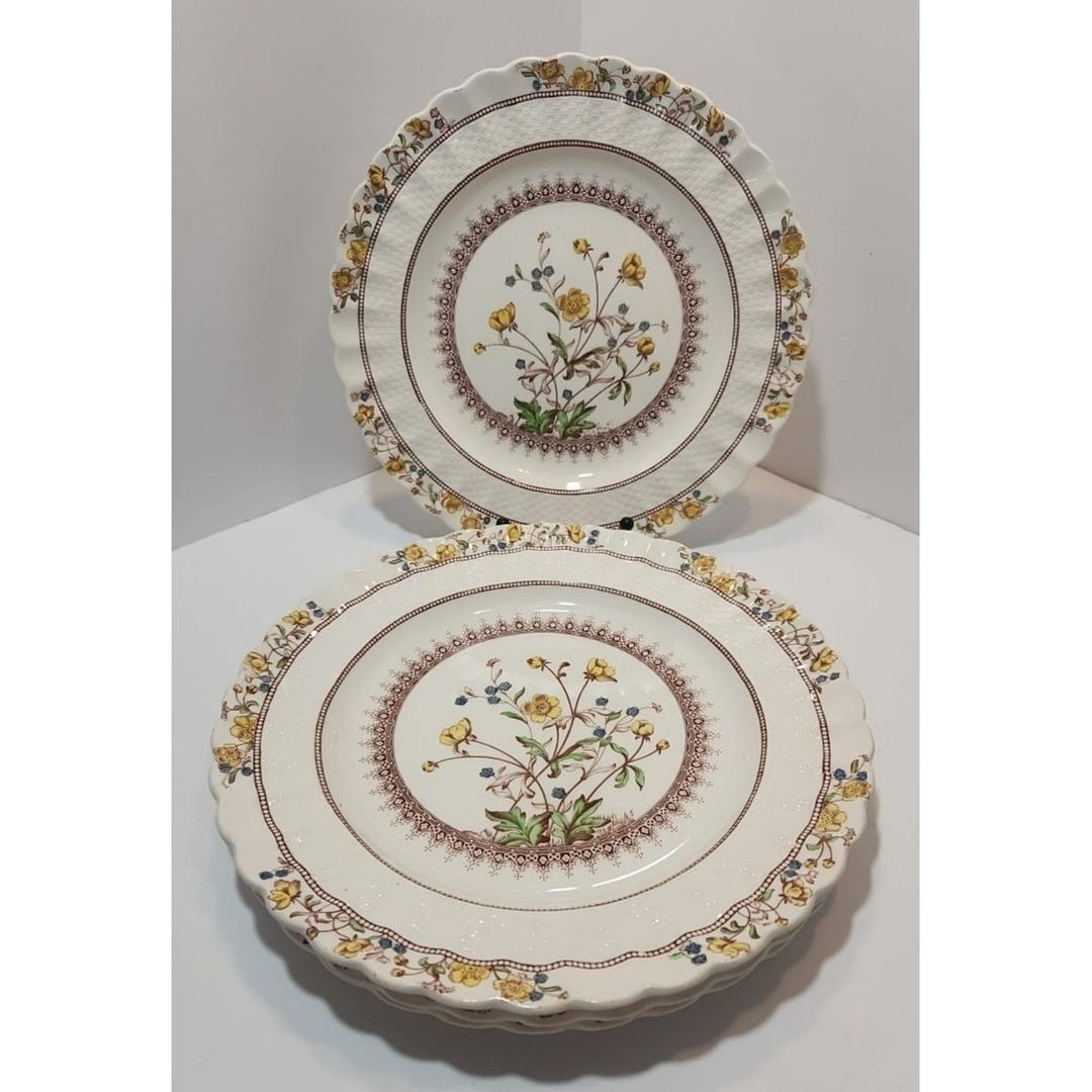 Vintage 4 Spode Buttercup Dinner Plates 3 W/original Backstamp 2/7873 ...