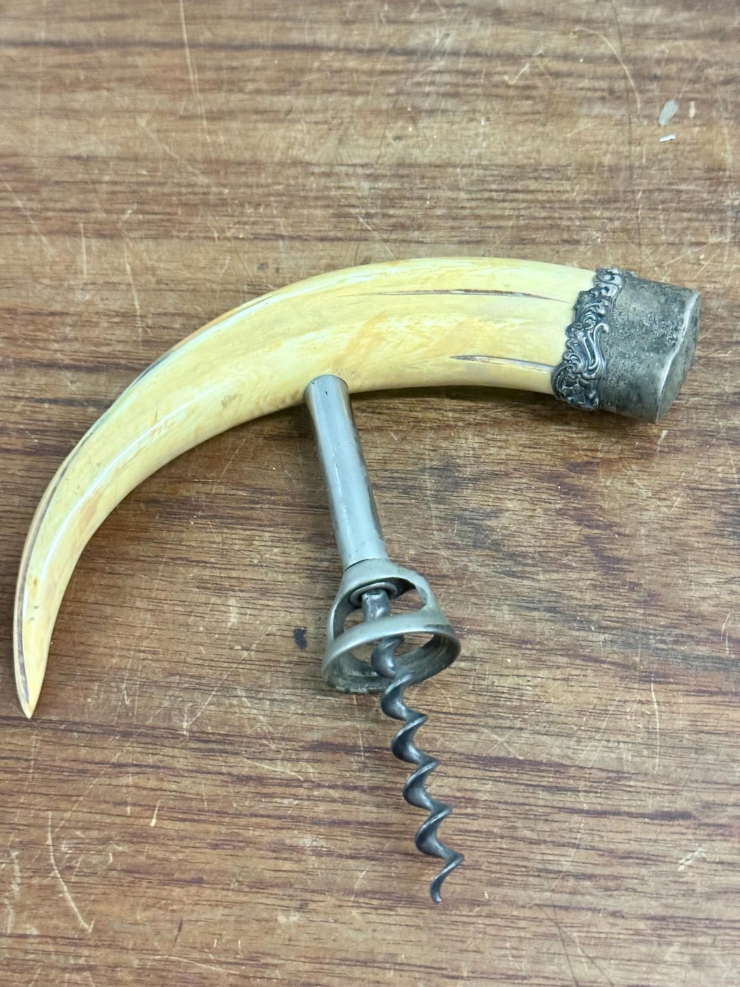 Antique Boar's Tusk Corkscrew With Sterling Silver Cap - Etsy