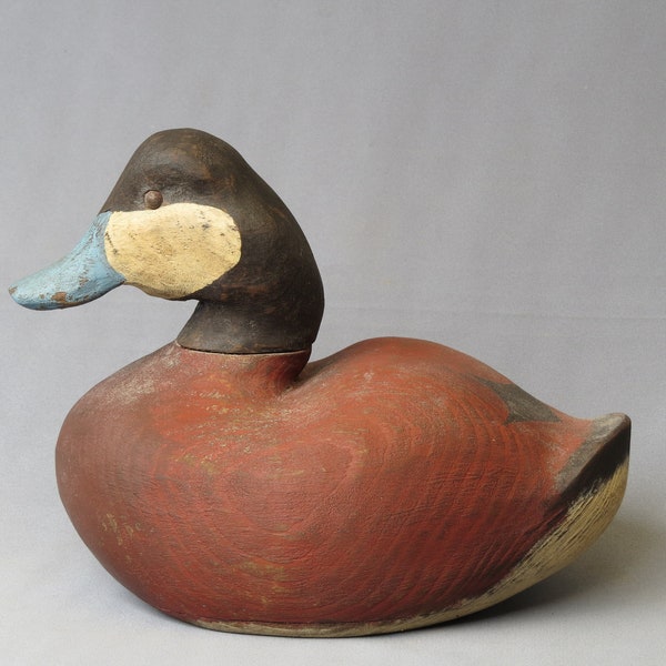 Ruddy Duck - Etsy