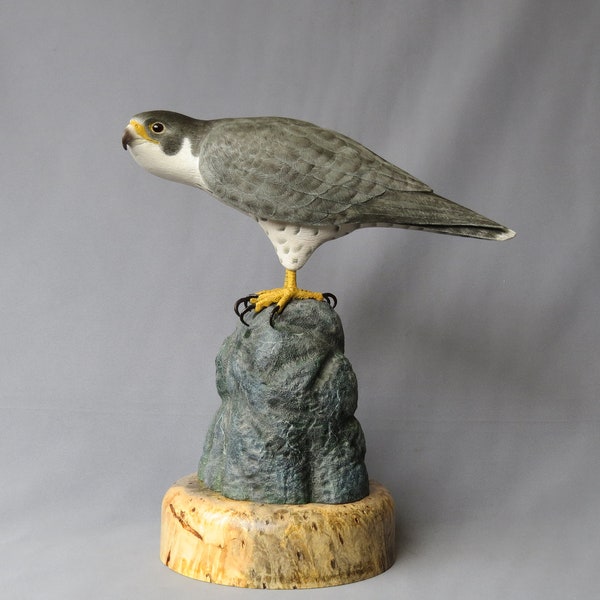 Peregrine Falcon - Etsy