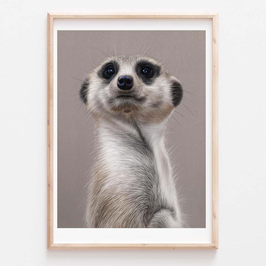 Meerkat Limited Edition Giclée Print A4 + A3 | Wildlife Animal Wall Art ...