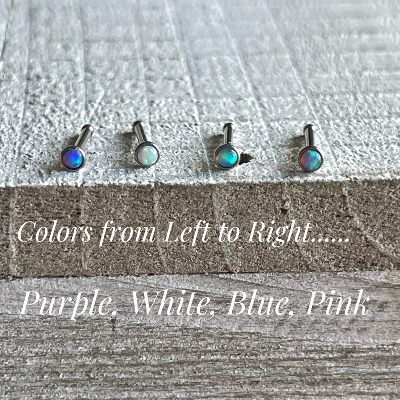 Surgical Steel Studs - Etsy