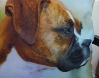 Do Boxers Have Droopy Eyes