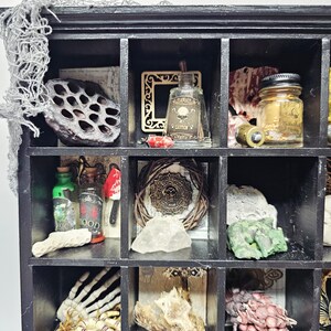 Custom Gorgeous Wooden Apothecary Shadow Box Full of Eerie Halloween ...