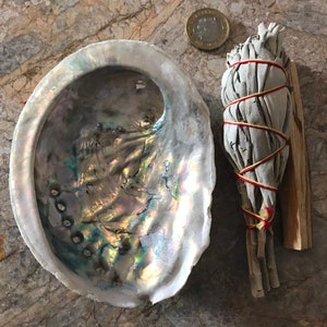 Sage Smudge Kit Large Abalone Shell Sage Smudge Stick Small | Etsy