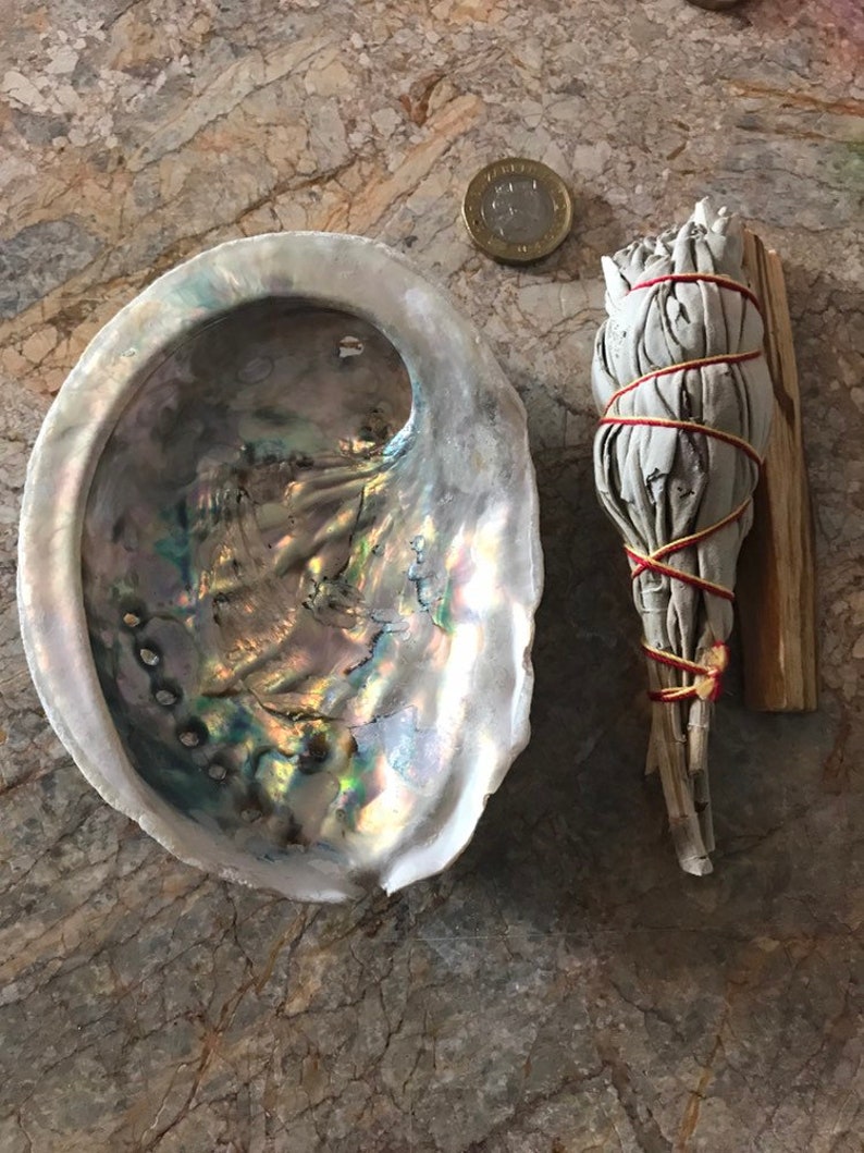Sage Smudge Kit Large Abalone Shell Sage Smudge Stick Small | Etsy