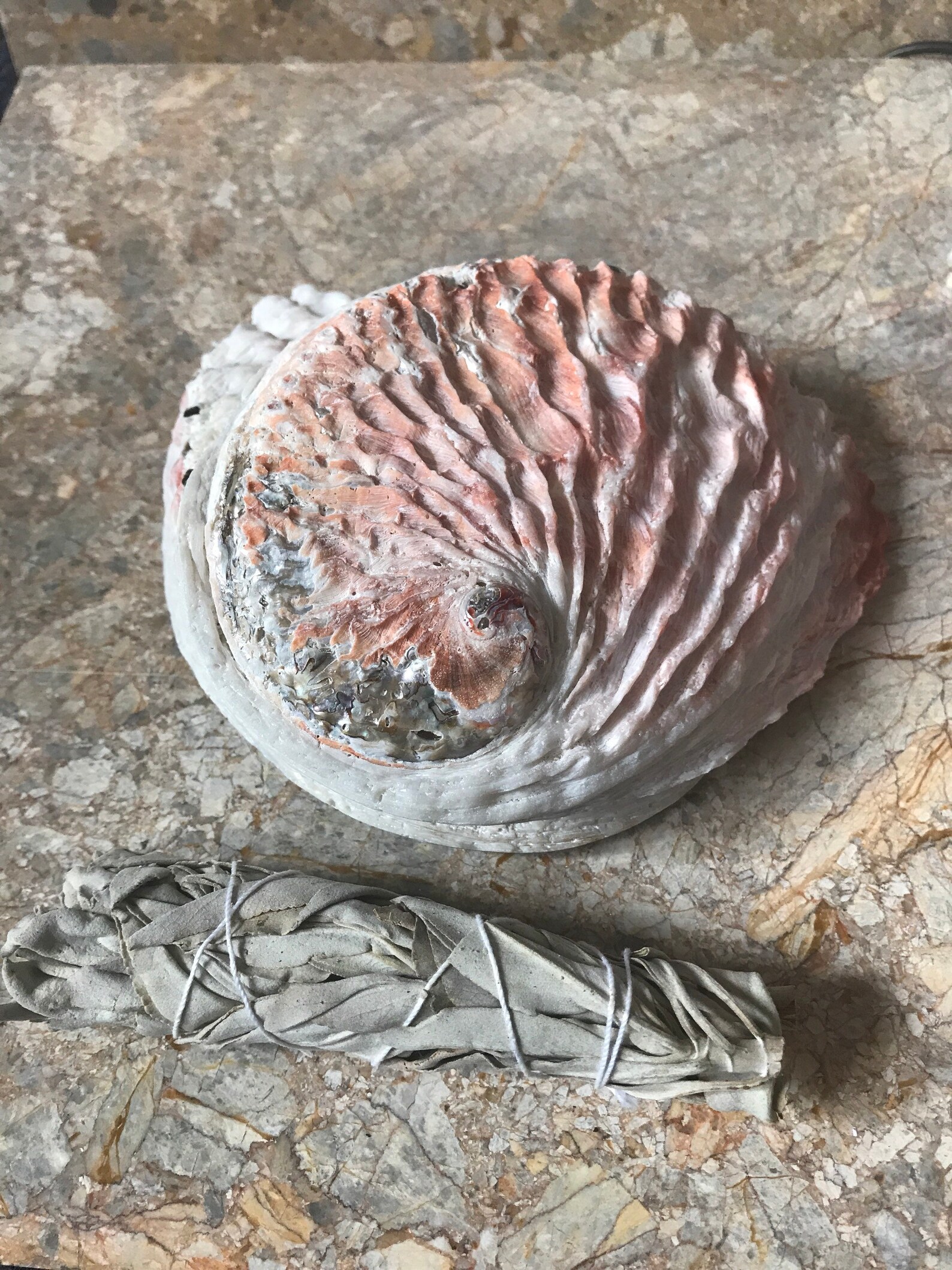 Sage Smudge Kit Large Abalone Shell Sage Smudge Stick Small - Etsy