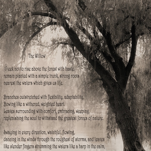 Willow Tree Art - Etsy