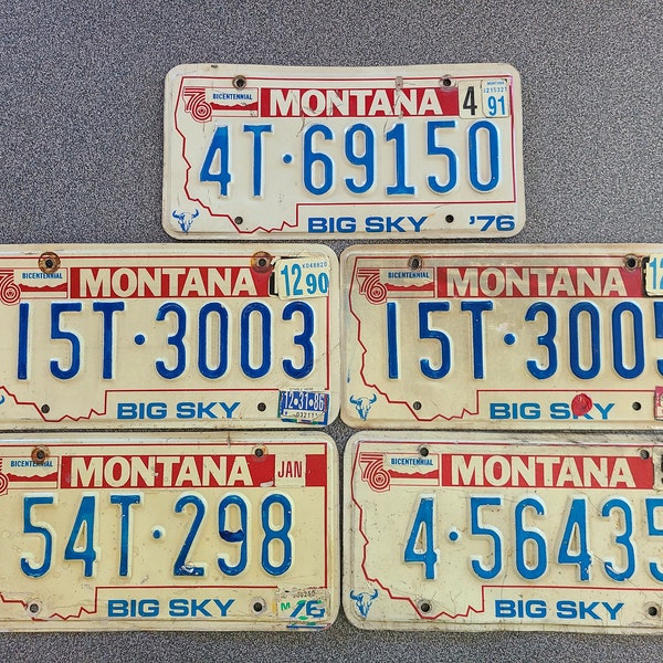 Montana License Plate Png - Etsy