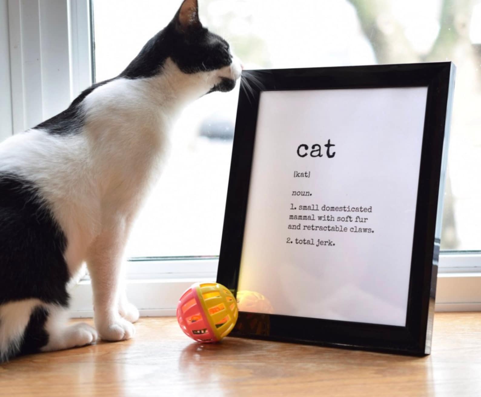 Cat Art Print Cat Definition Funny Cat Print Cat Lover - Etsy