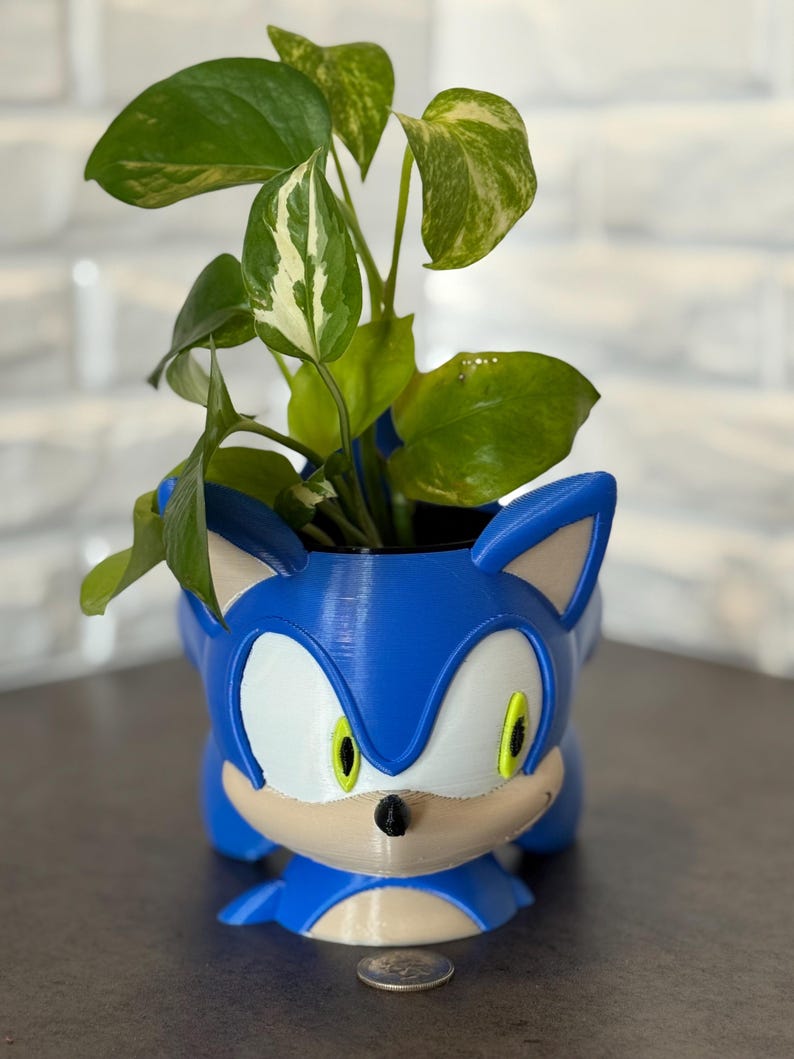 Sonic Hedgehog Pot Gift - Etsy