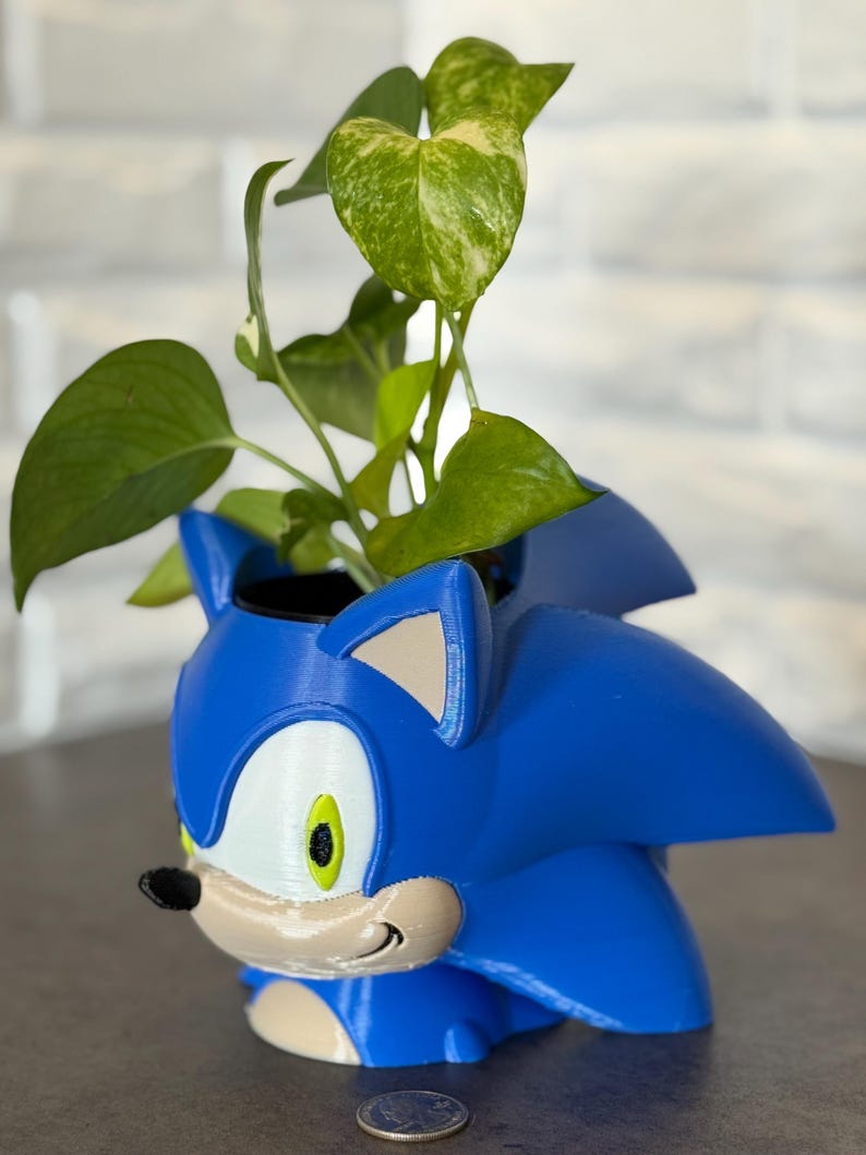 Sonic Hedgehog Pot Gift - Etsy