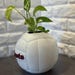 Custom 3D Printed Volleyball Planter – Personalized Name & Number ...