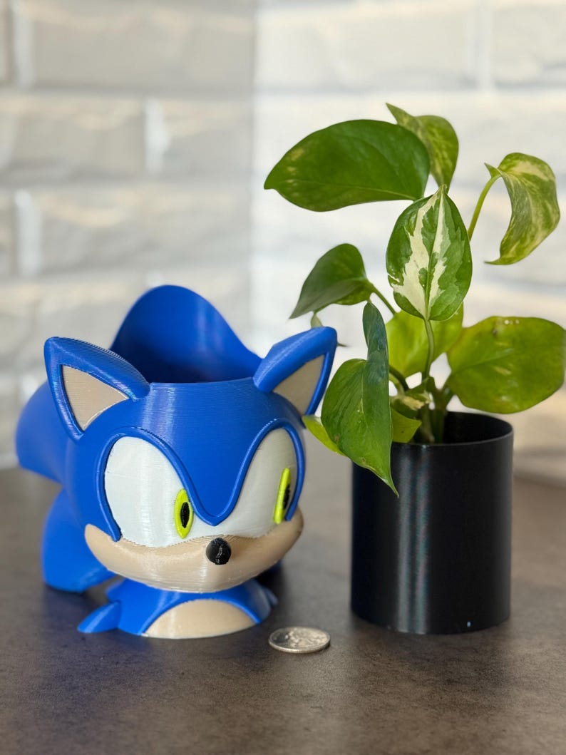 Sonic Hedgehog Pot Gift - Etsy