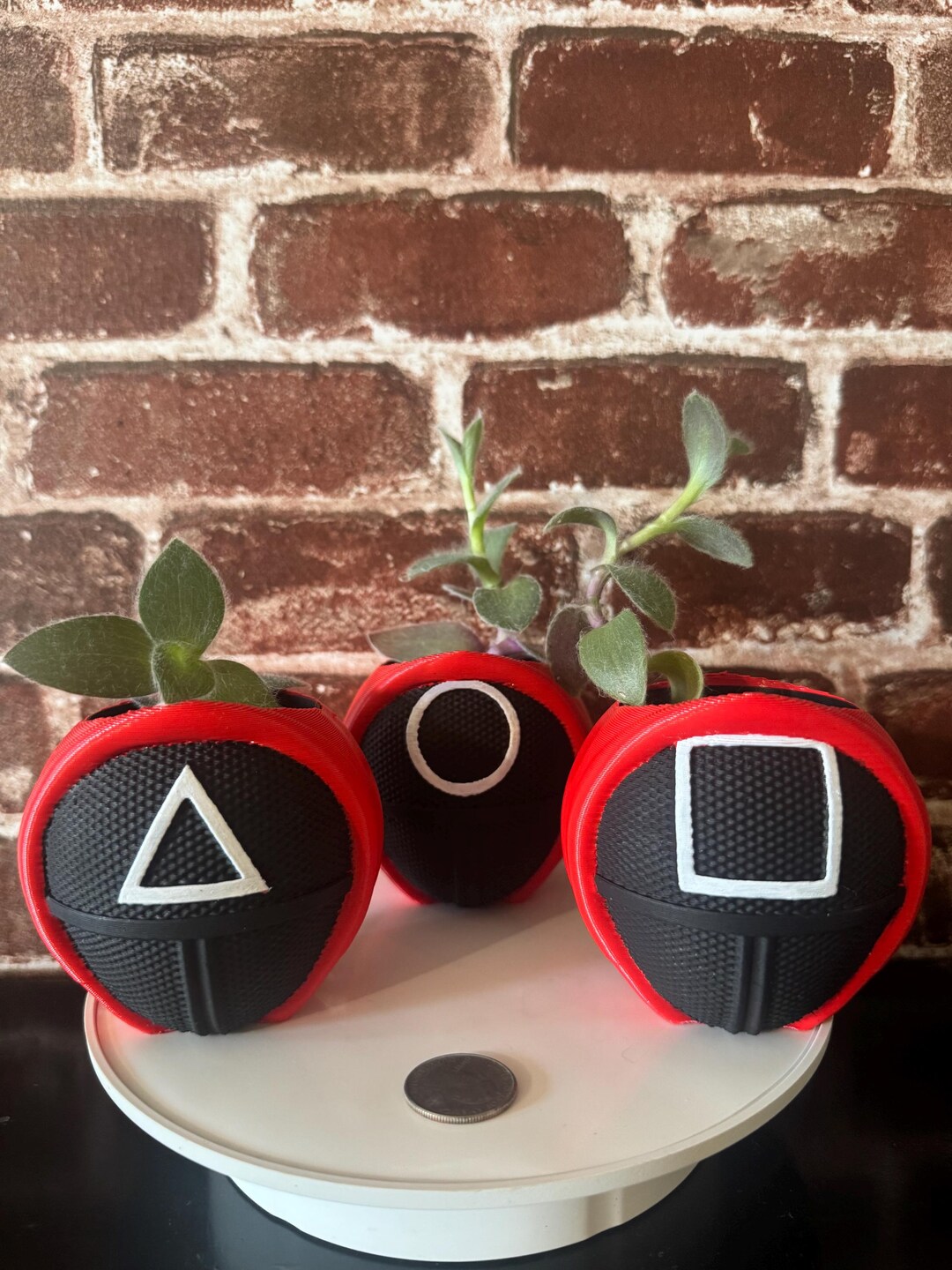 Squid Games 3 Succulent Pot Gift Set | Home Decoration - Etsy