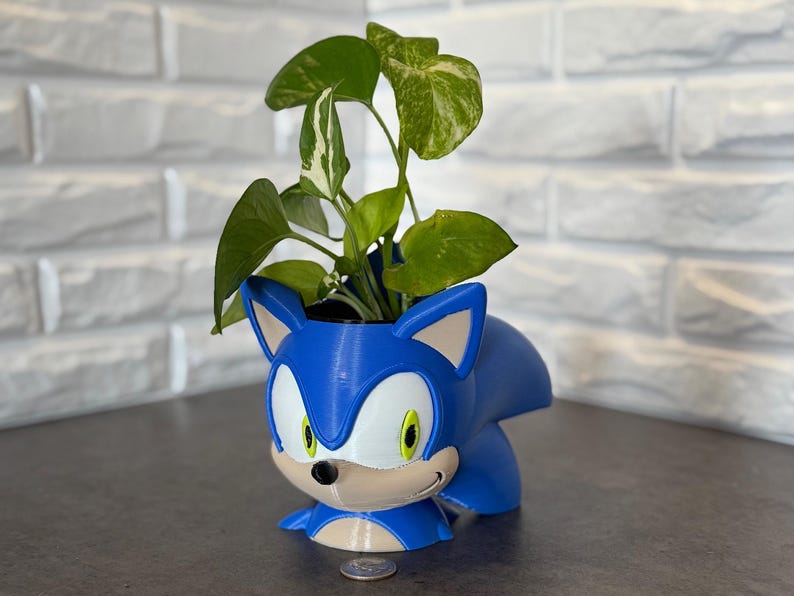 Sonic Hedgehog Pot Gift - Etsy
