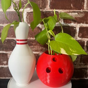 Bowling Ball and Pin Planter Set Gift | Home Decoration - Etsy