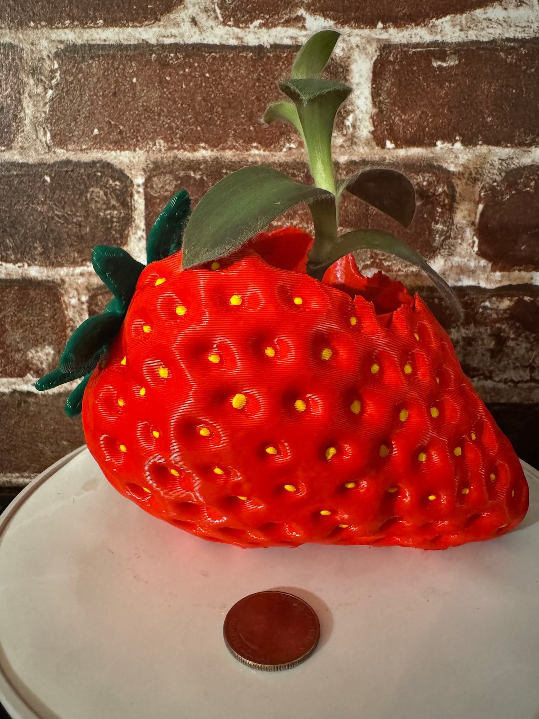 3D Printed Sideways Strawberry Planter W Inner Pot - Etsy