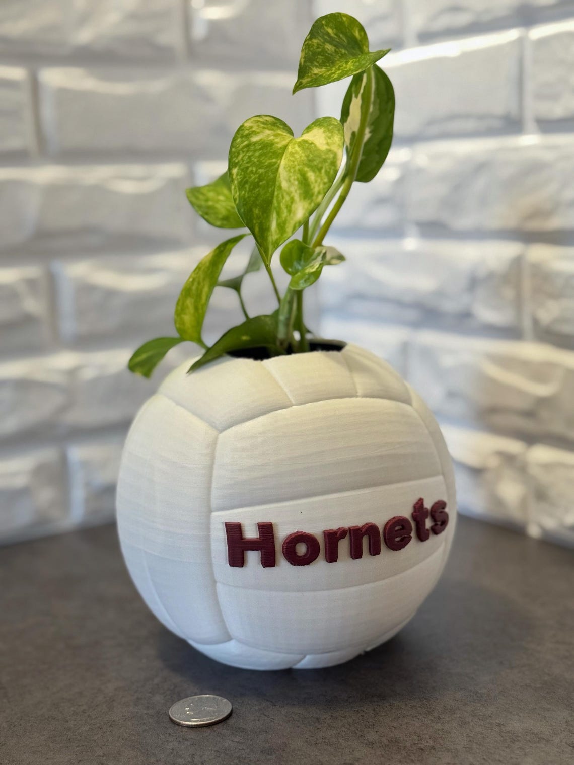 Custom 3D Printed Volleyball Planter – Personalized Name & Number ...