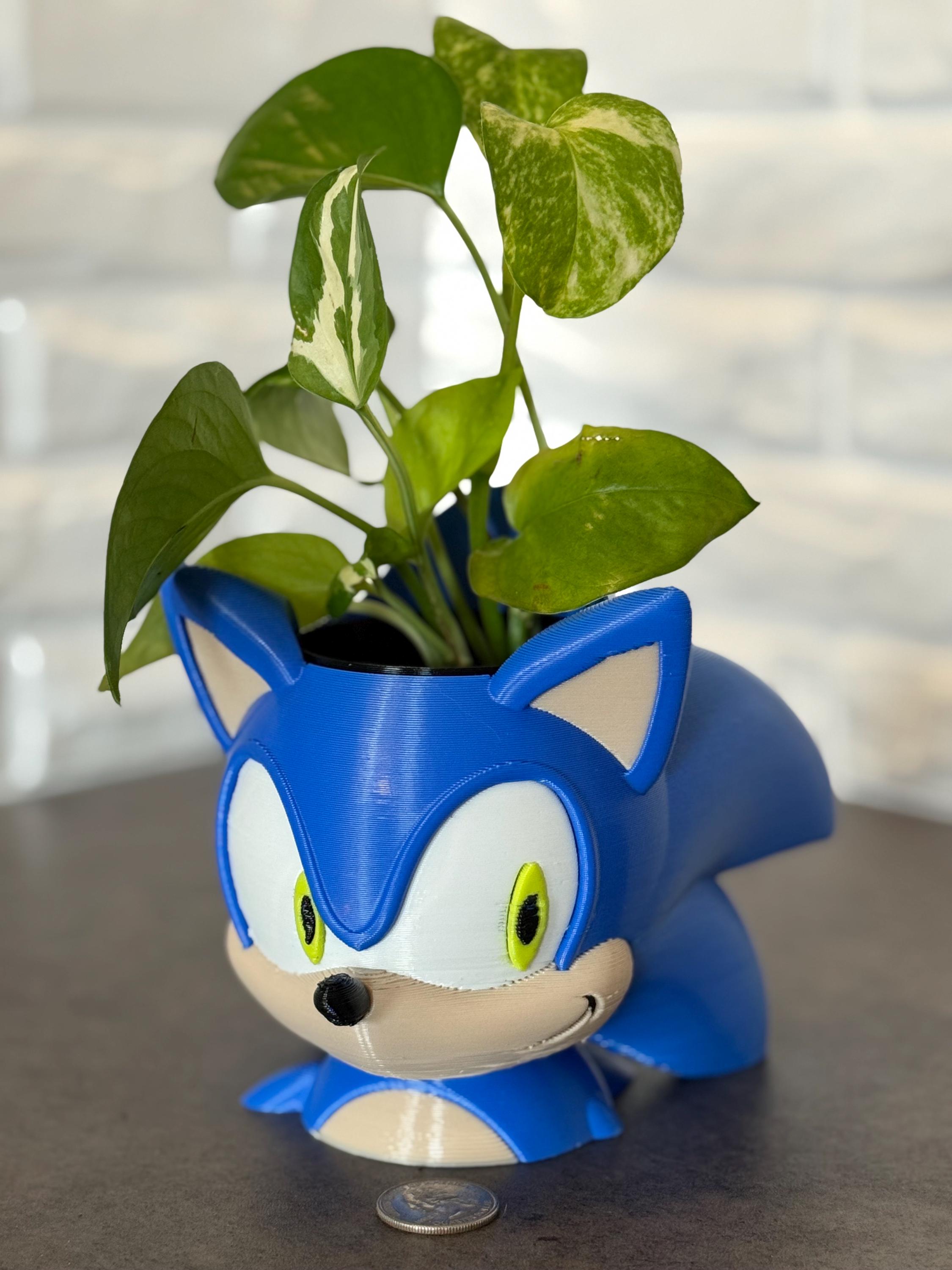 Sonic Hedgehog Pot Gift - Etsy