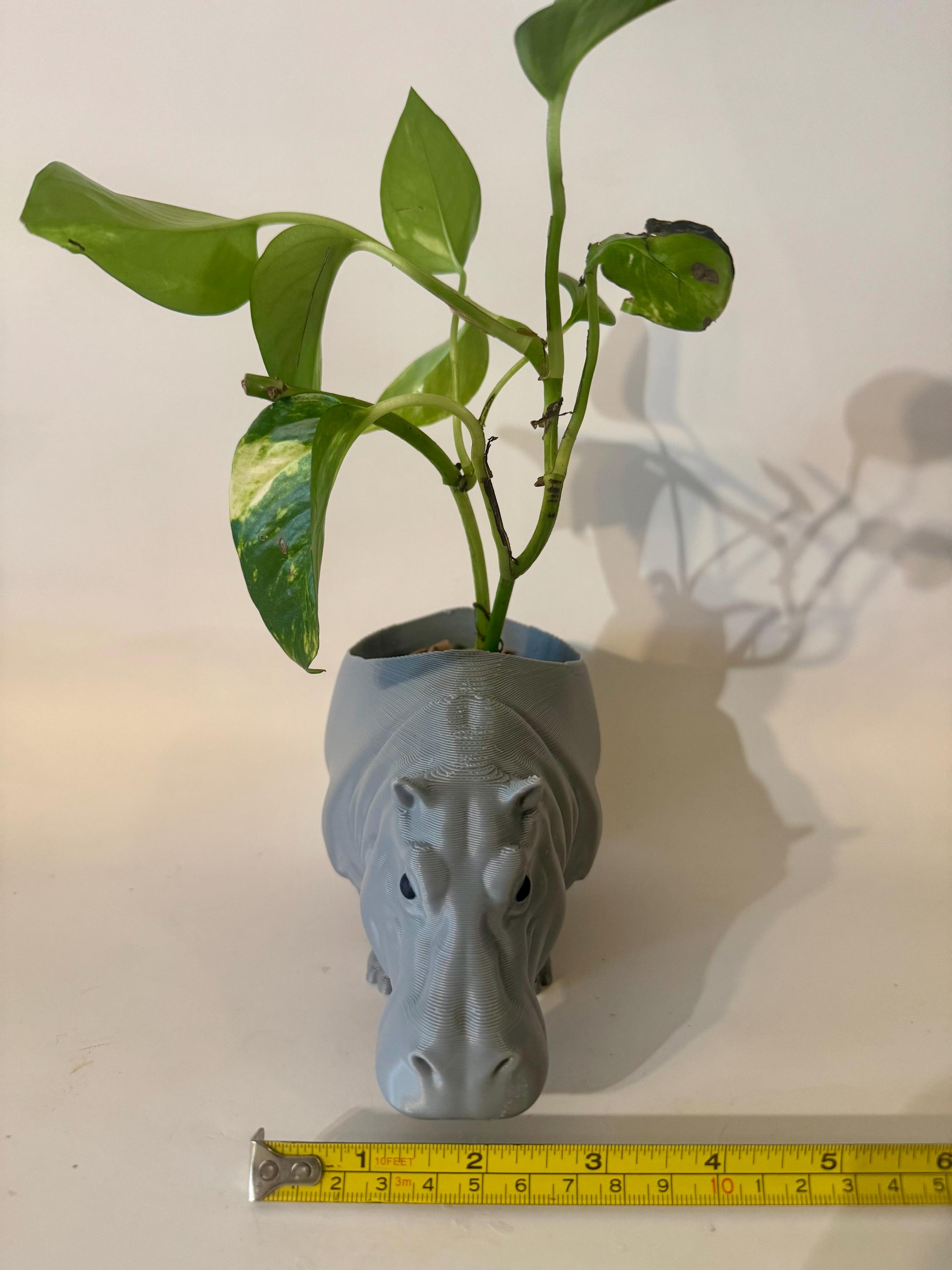 3D Printed Hippopotamus Planter Gift Decoration - Etsy