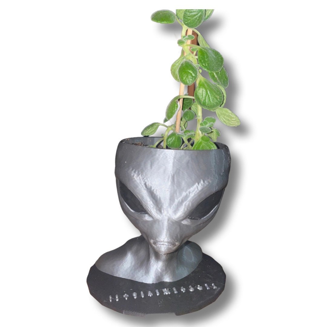 Roswell 3D Printed Alien Planter - Etsy