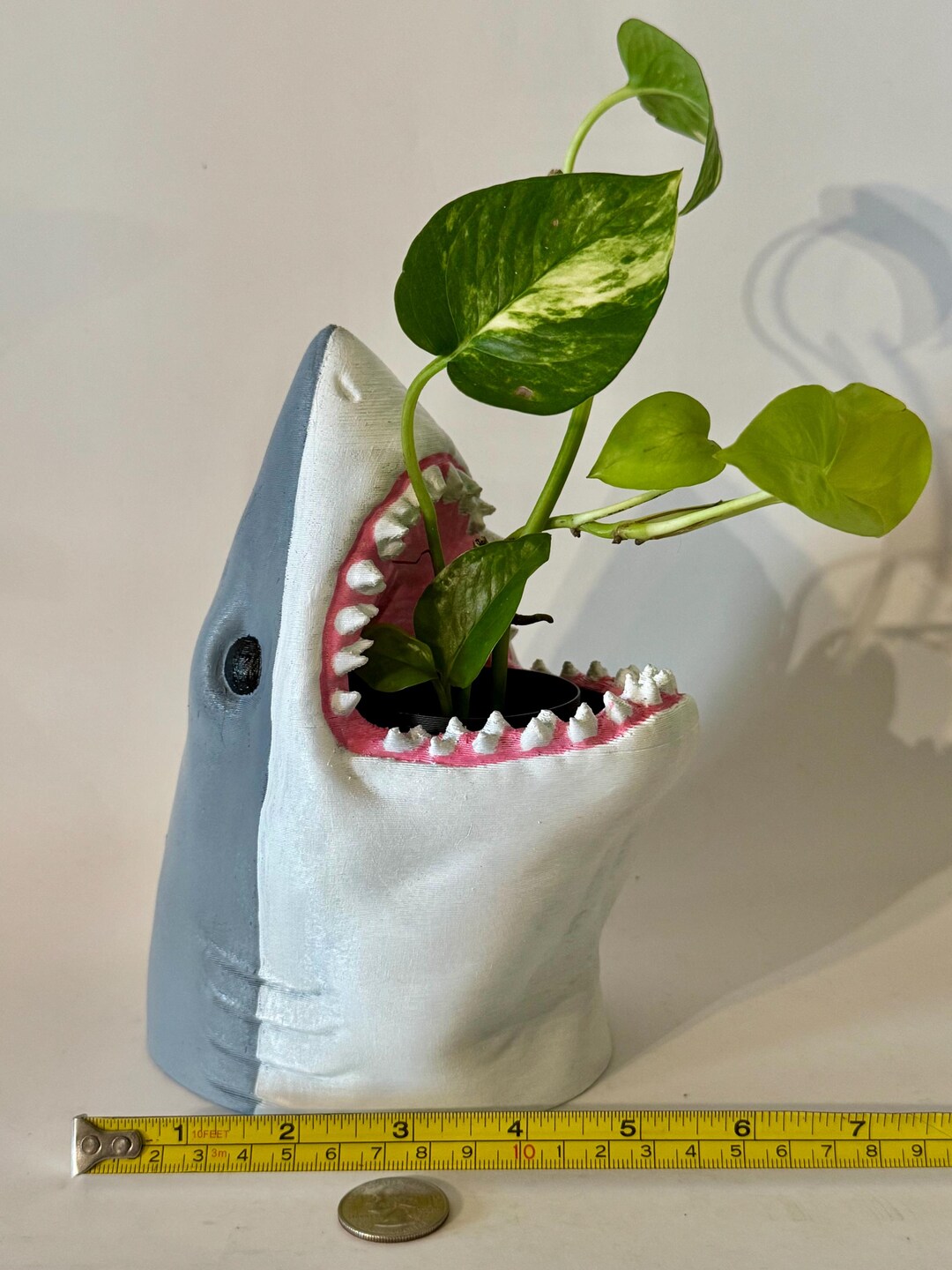 3d Printed Great White Shark Planter Gift - Etsy