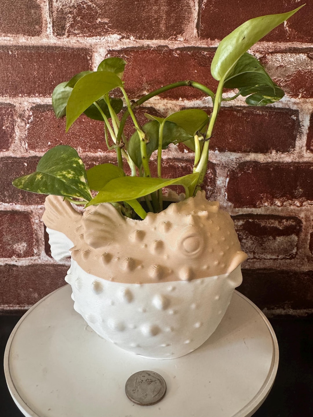 7" Puffer Fish Planter With Inner Pot - Etsy
