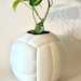 Custom 3D Printed Volleyball Planter – Personalized Name & Number ...