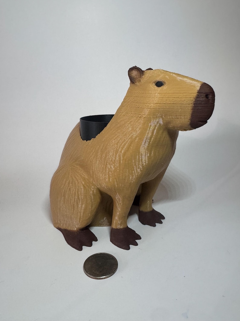 Capybara Planter, Cute Hand-painted Decor Gift - Etsy