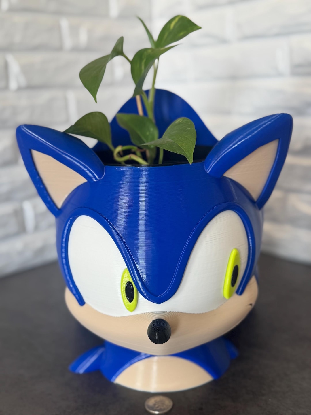 Giant Sonic Planter: Glossy Multi-color Gamer Decor With Drain Pot - Etsy