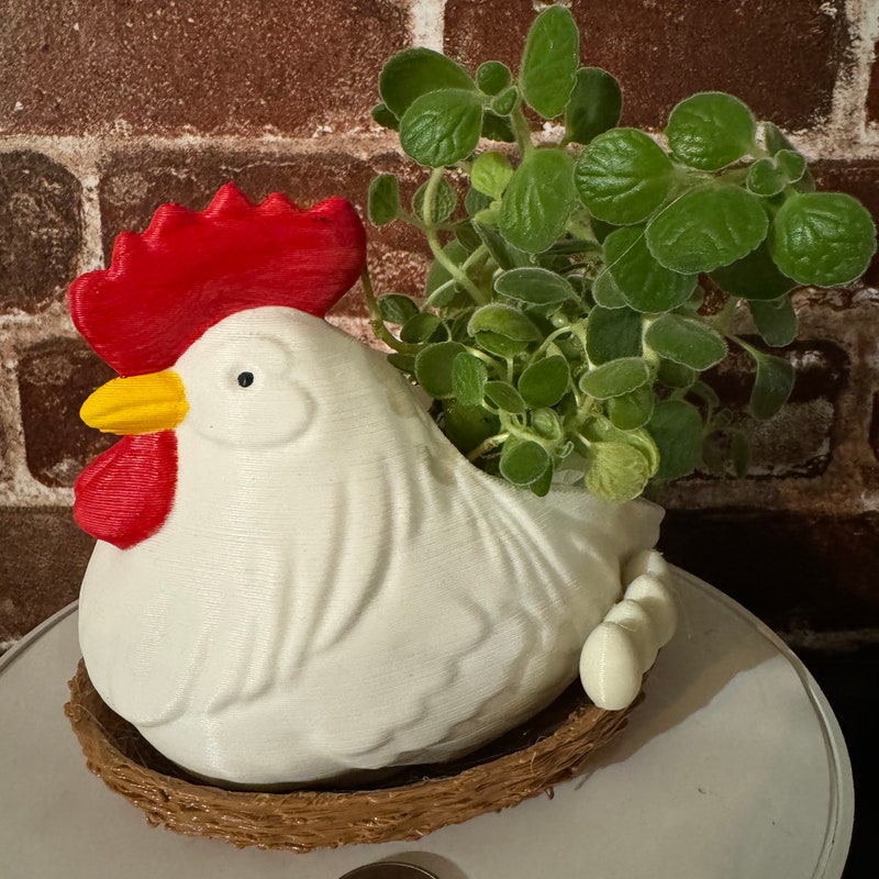 Chicken Planter Pot - Etsy