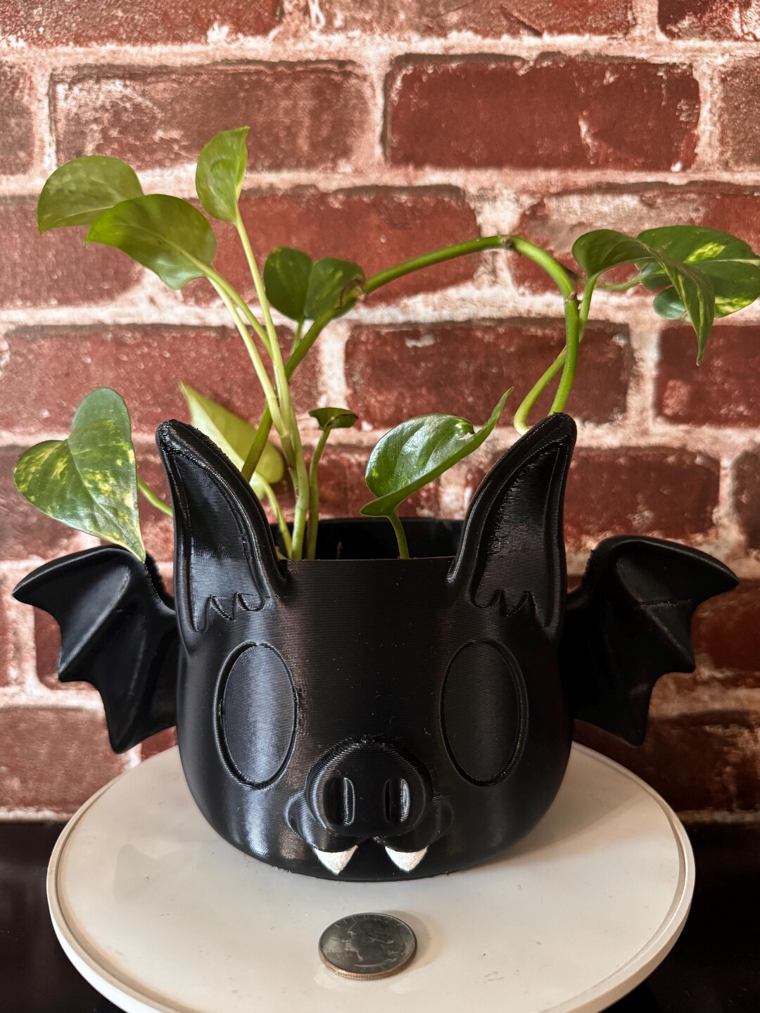 Halloween Bat Planter W/ Drain Holes - Etsy