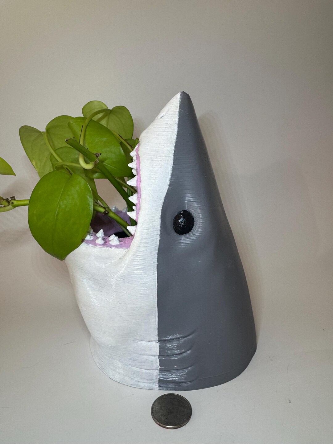 3d Printed Great White Shark Planter Gift - Etsy