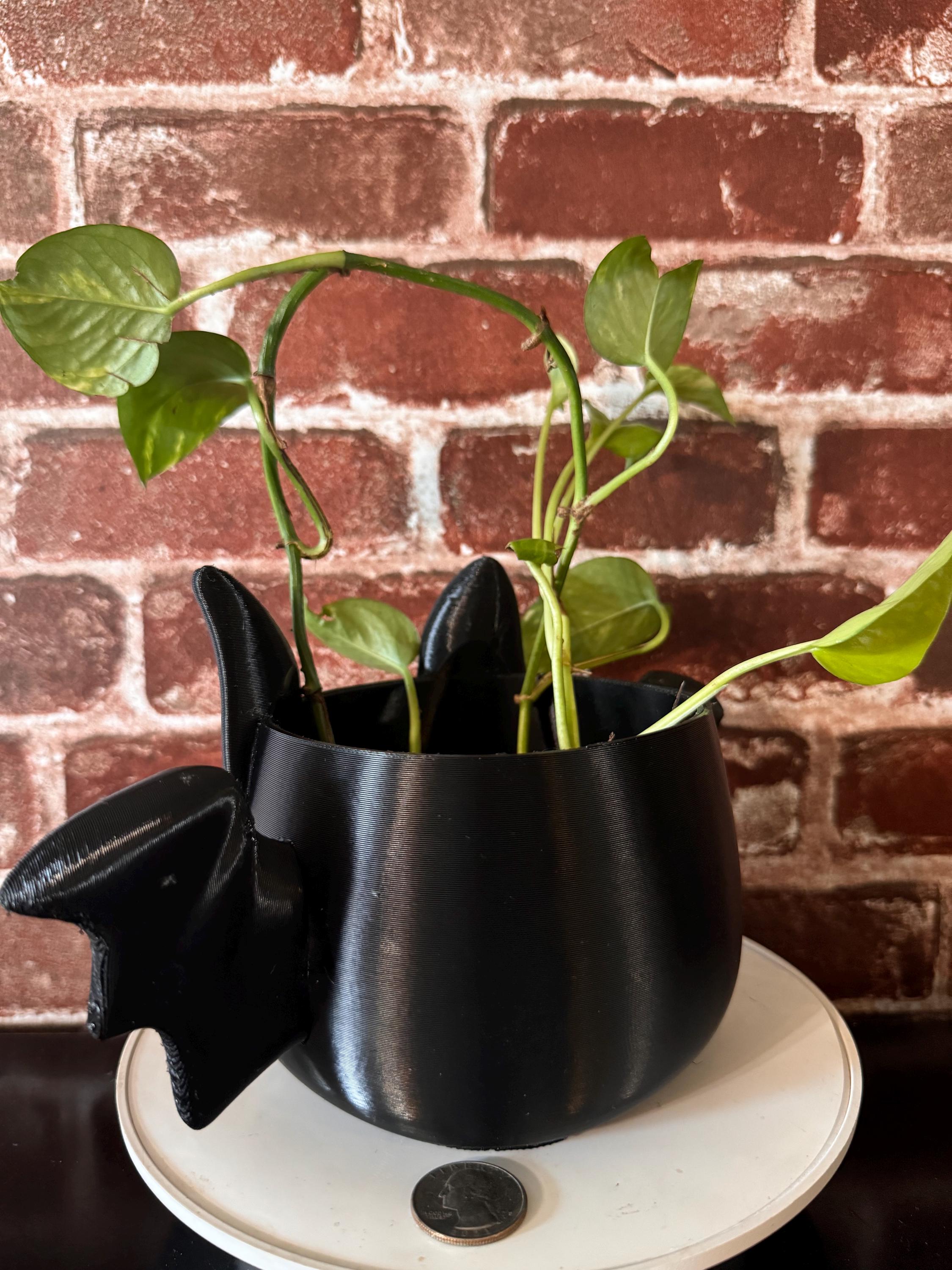 Halloween Bat Planter W/ Drain Holes - Etsy