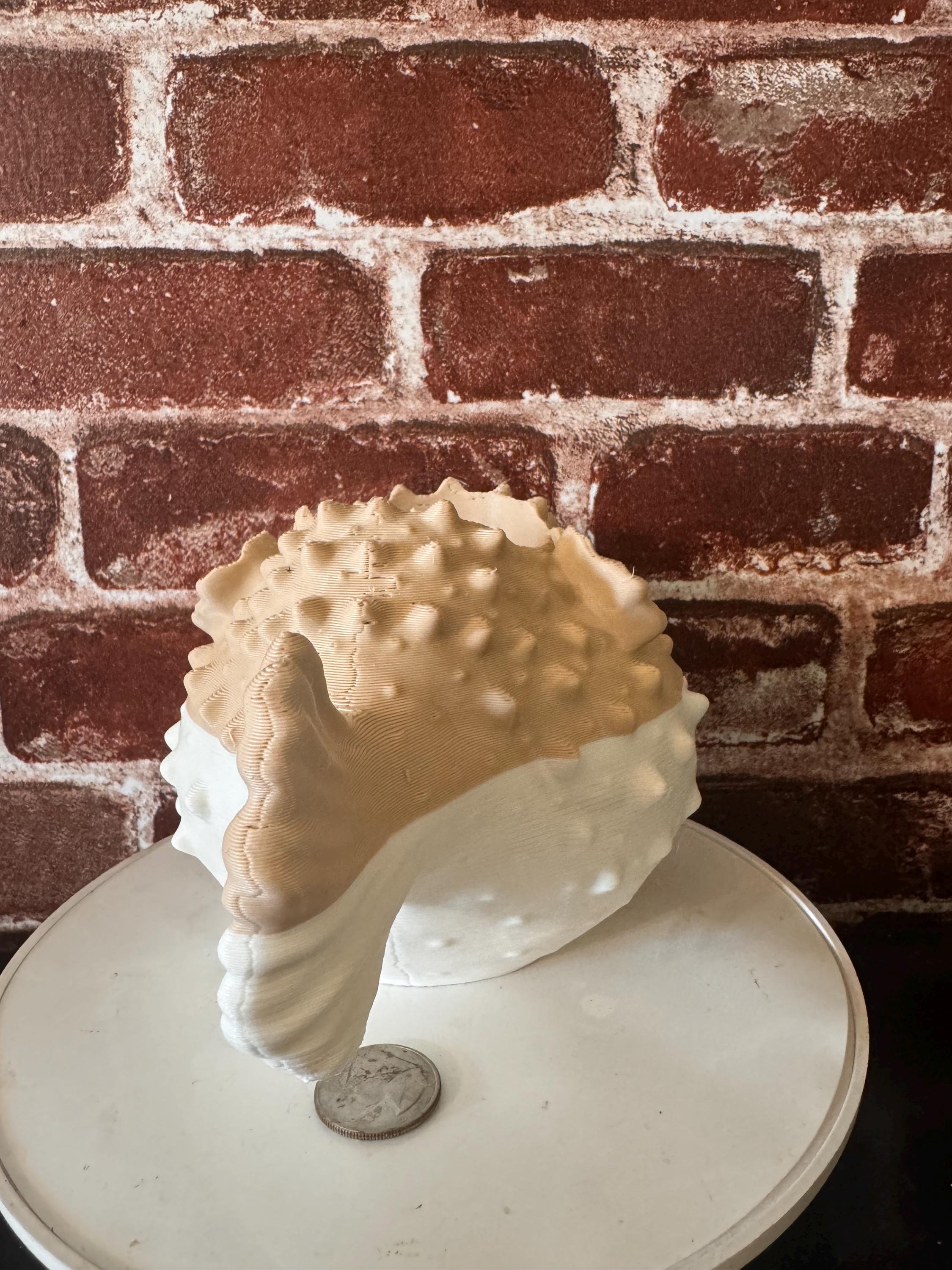 7" Puffer Fish Planter With Inner Pot - Etsy
