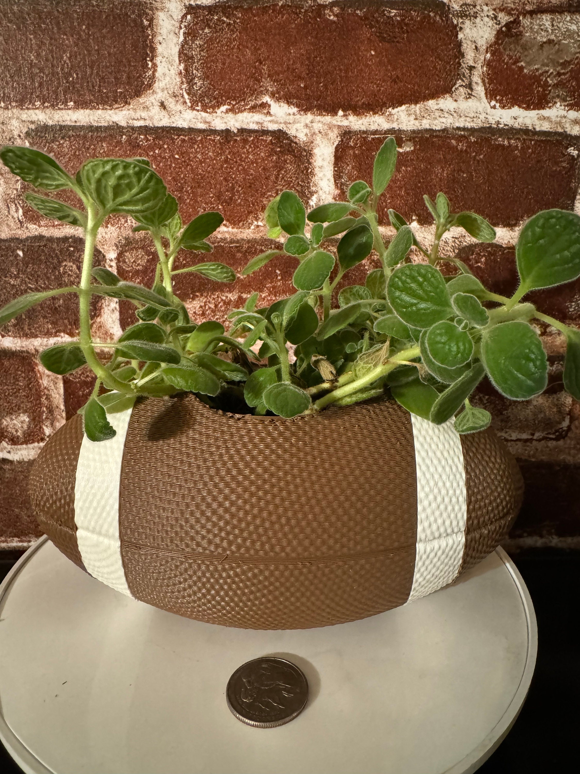 Football Planter W Inner Pot - Etsy