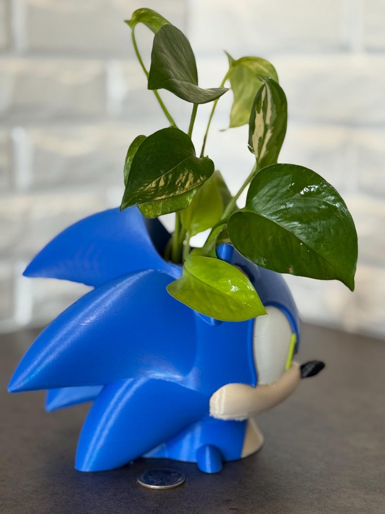 Sonic Hedgehog Pot Gift - Etsy