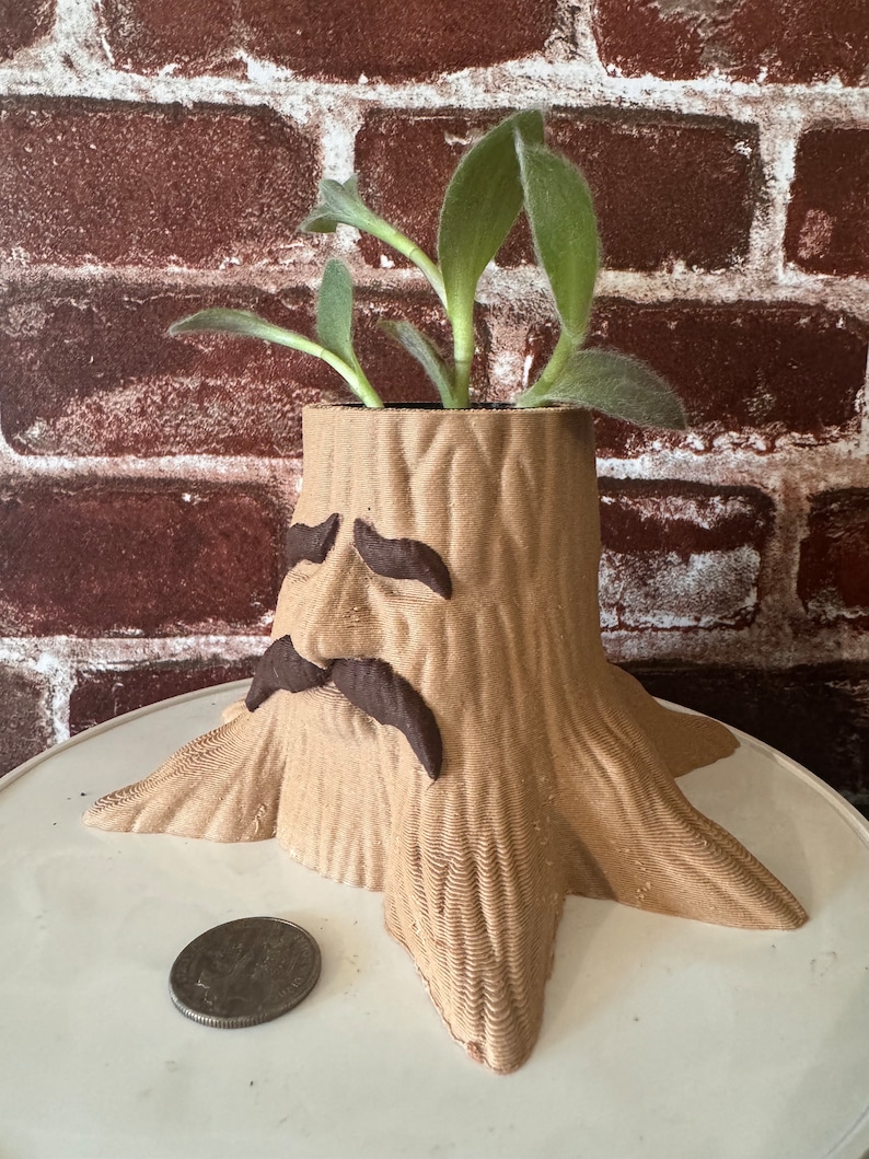 Deku Tree Planter With Inner Pot - Etsy