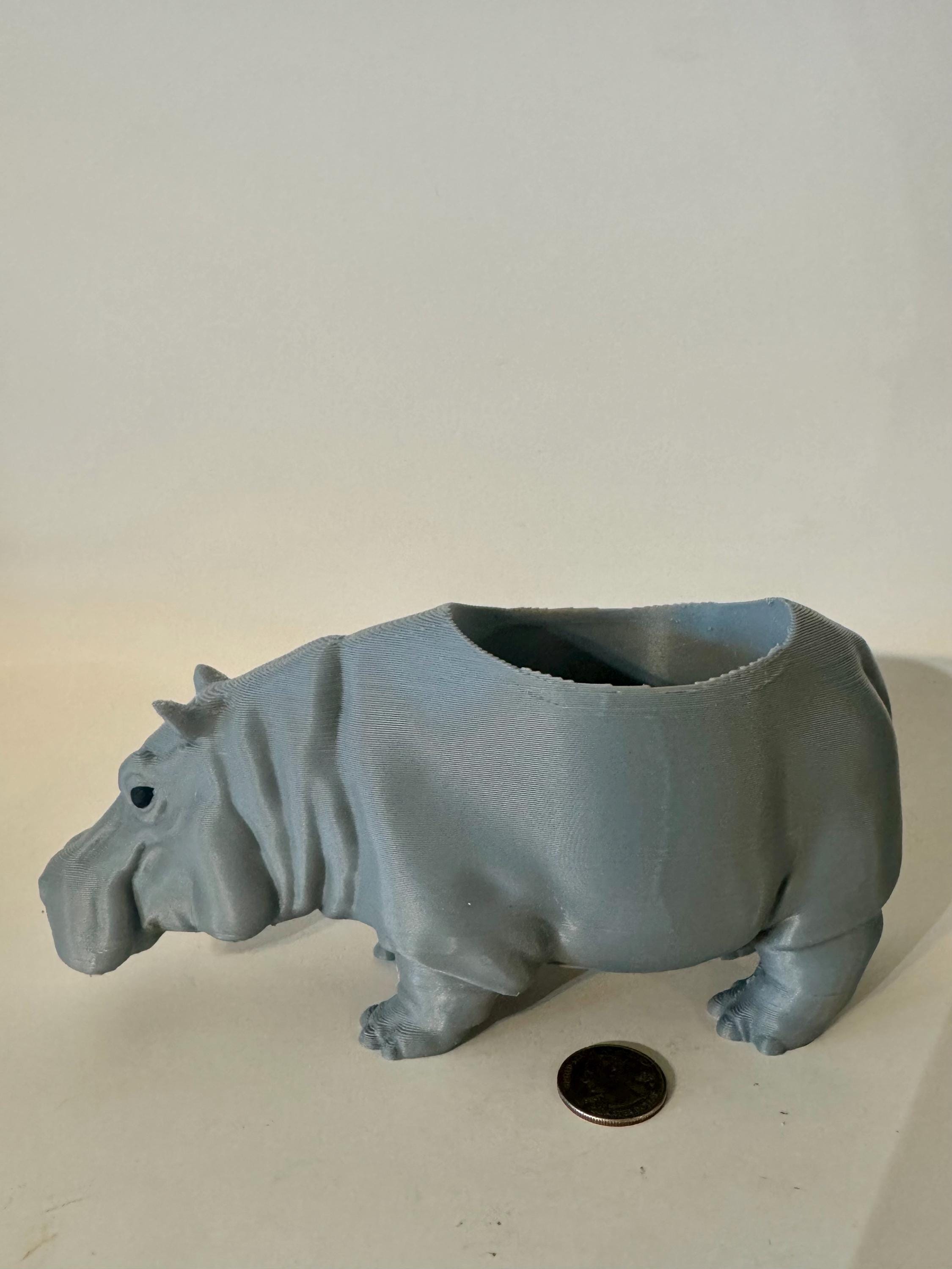 3D Printed Hippopotamus Planter Gift Decoration - Etsy