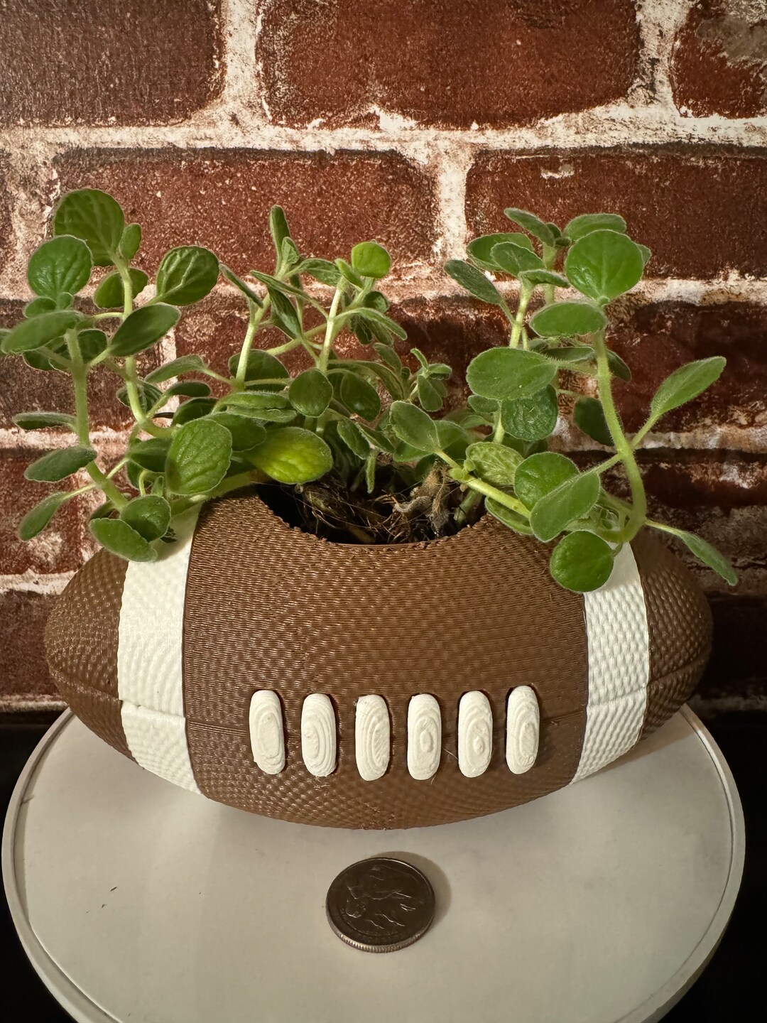 Football Planter W Inner Pot - Etsy
