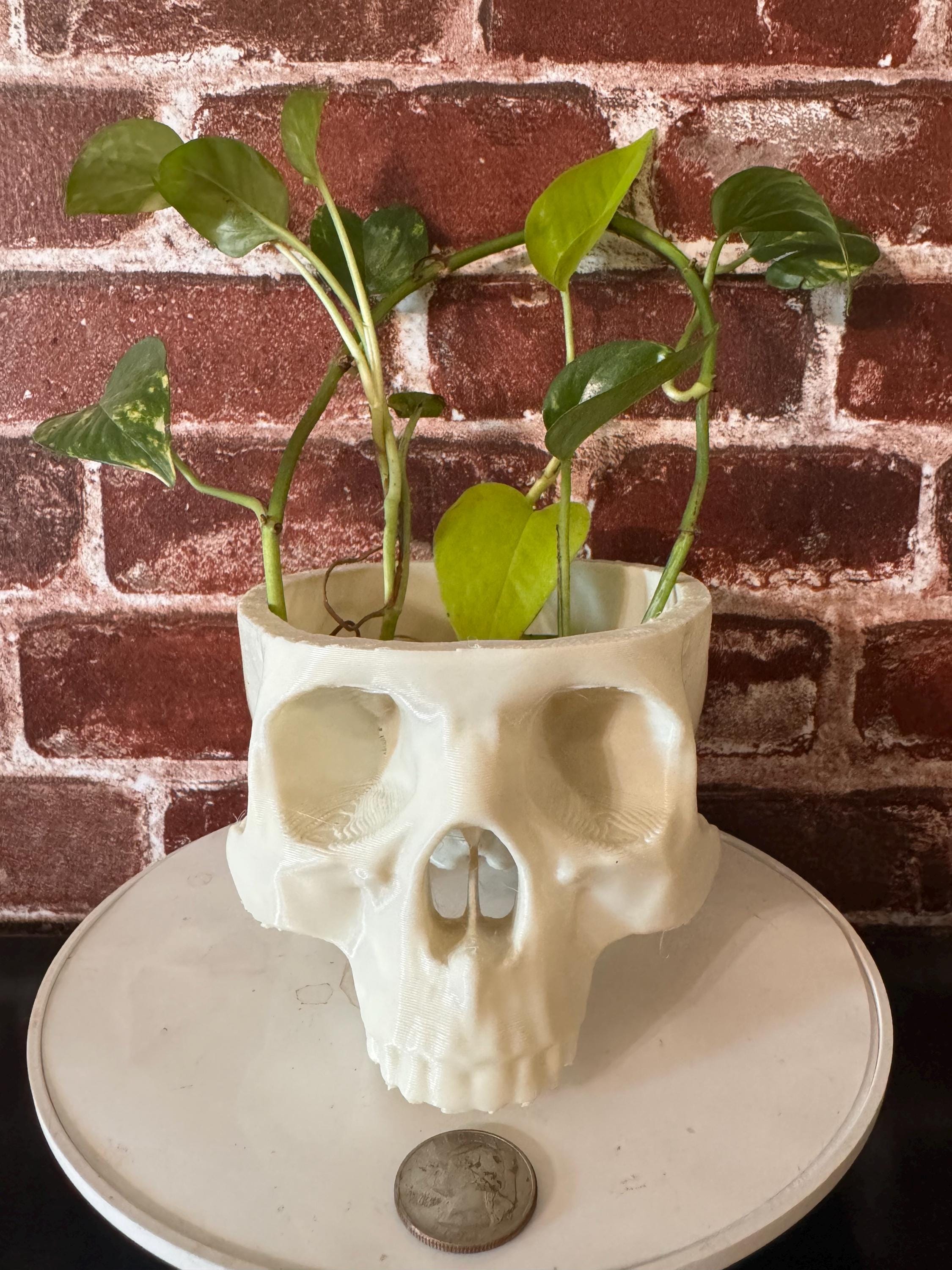 3D Printed Skull Planter W/ Hanging Holes - Etsy